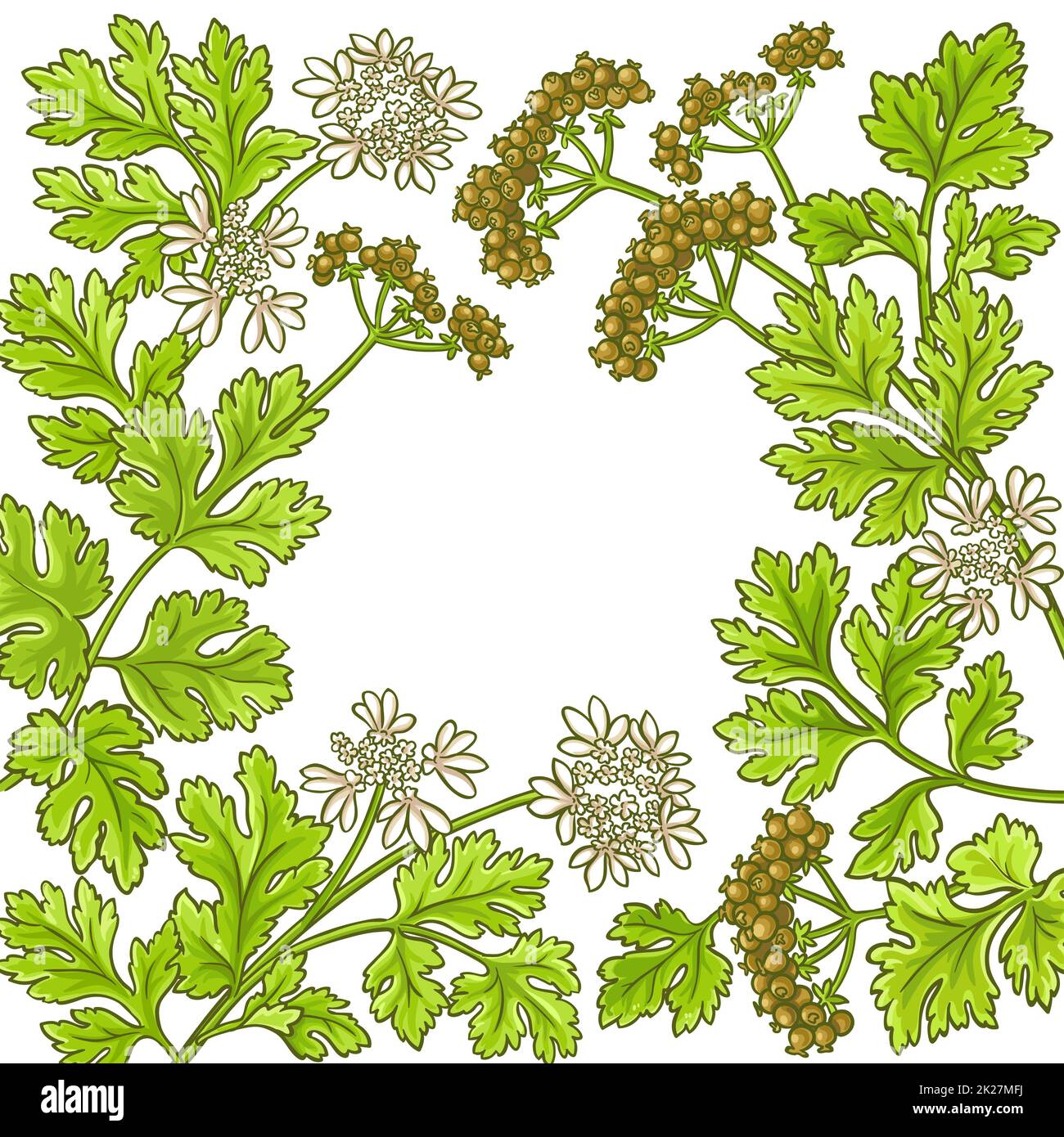 Indian frame vector hi-res stock photography and images - Alamy