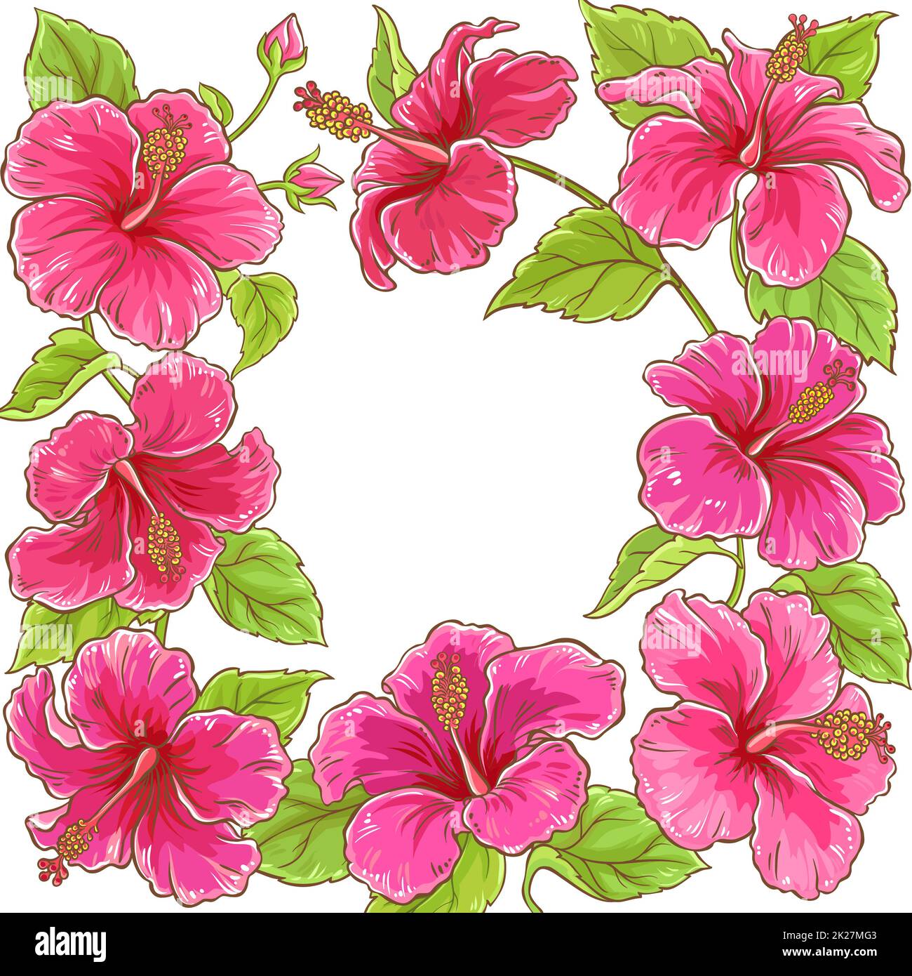 hibiscus vector frame Stock Photo - Alamy