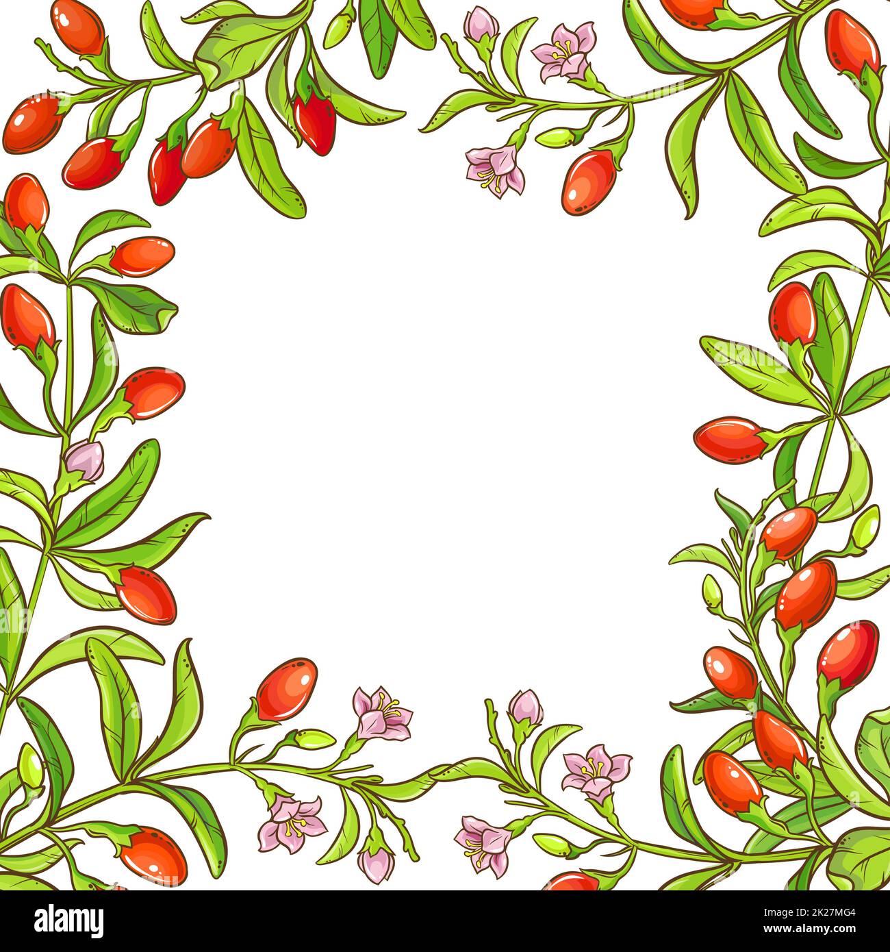 goji branch vector frame Stock Photo - Alamy