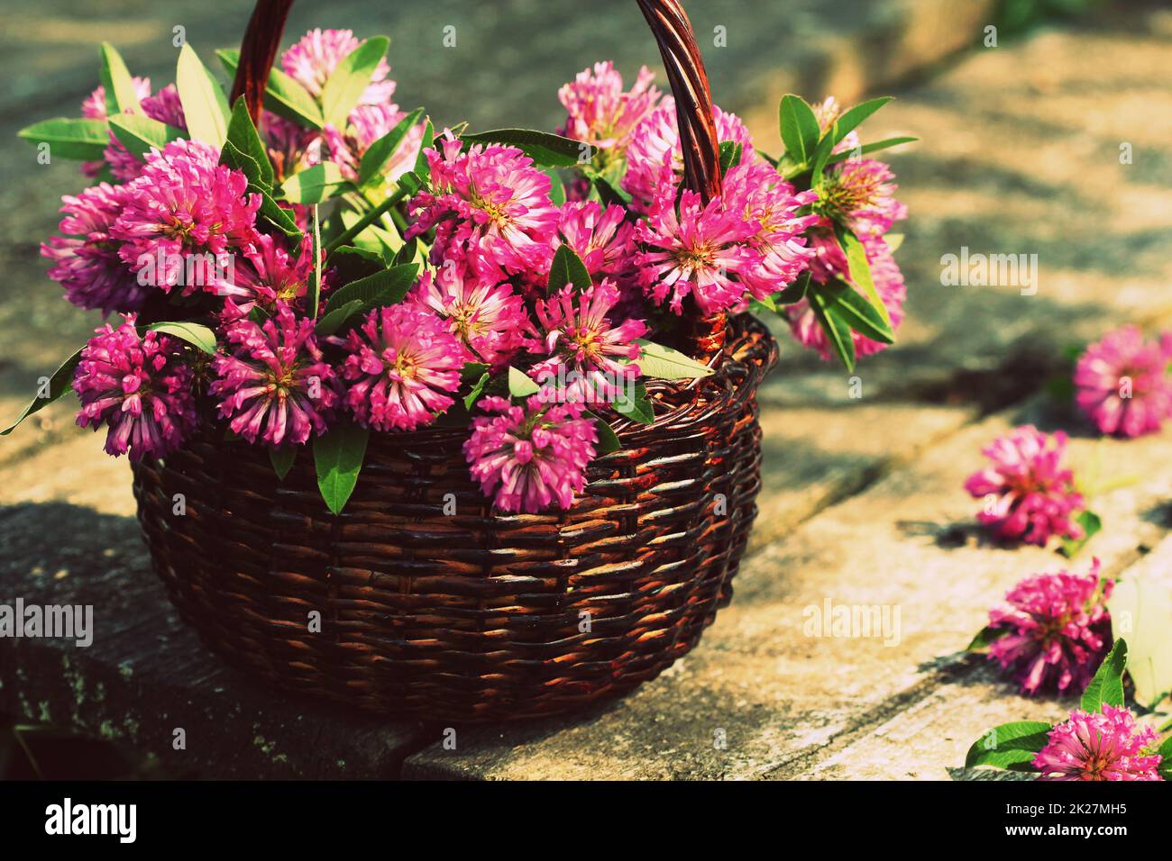 Harvesting materials hi-res stock photography and images - Alamy