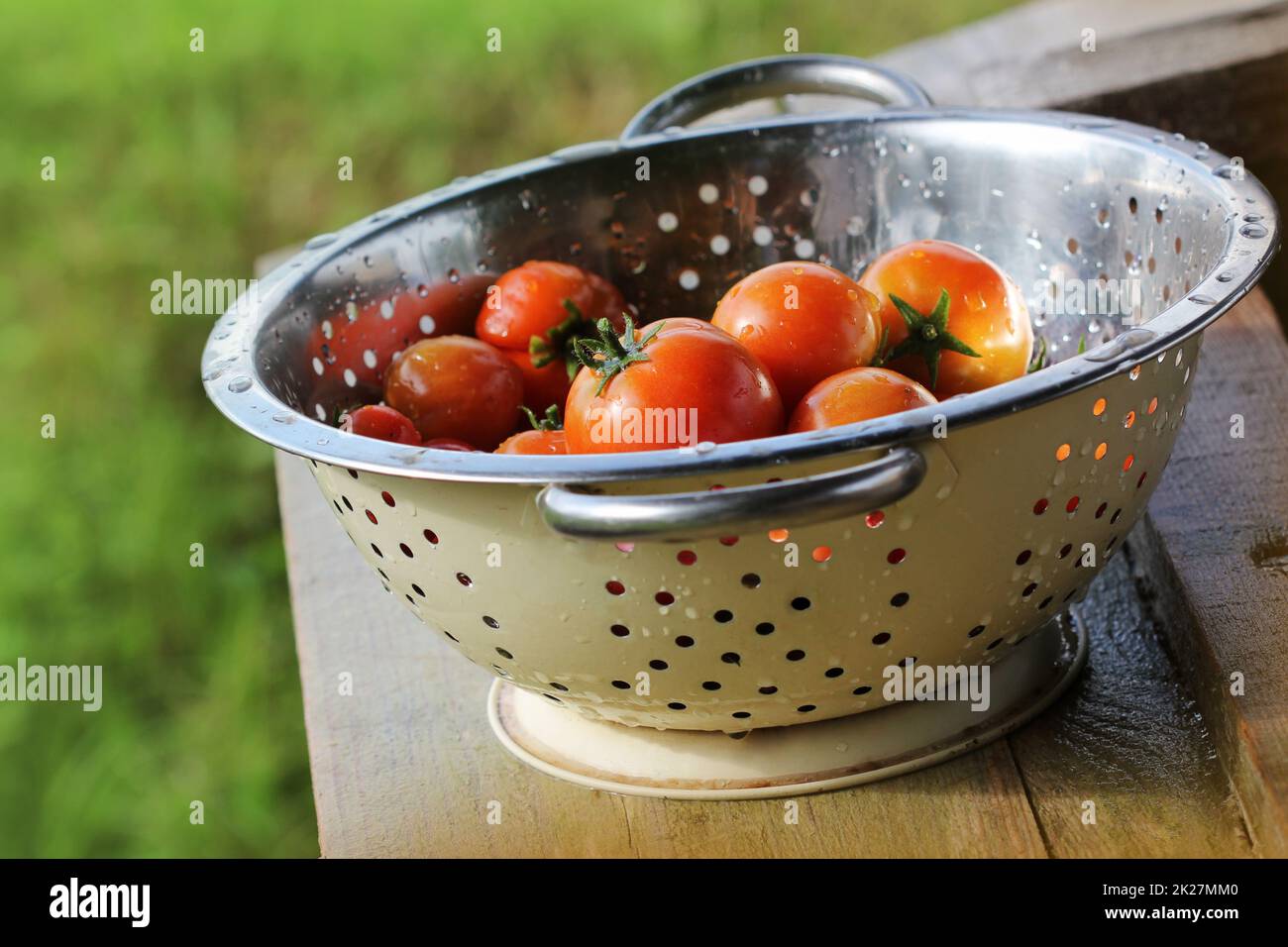 Fresh colorful ripe tomatoes in strainer. Harvest vegetable cooking ...