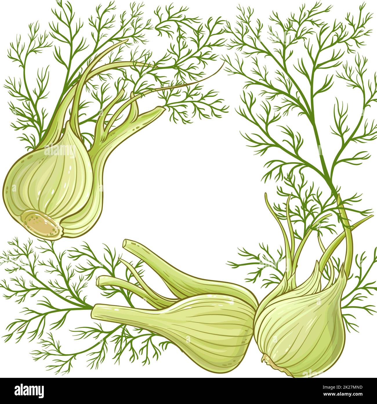 fennel vector frame Stock Photo - Alamy