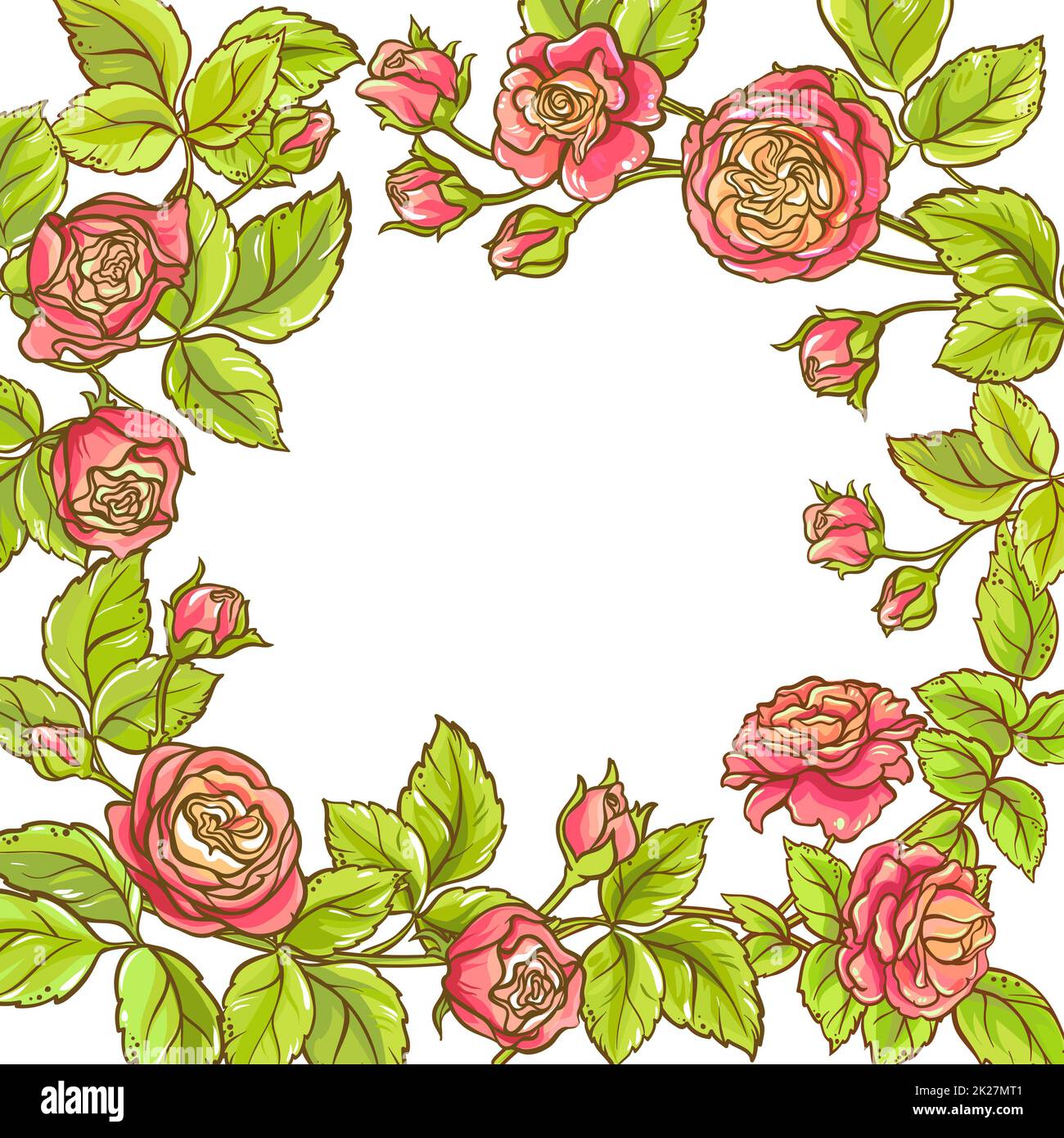 rose branch vector frame Stock Photo - Alamy