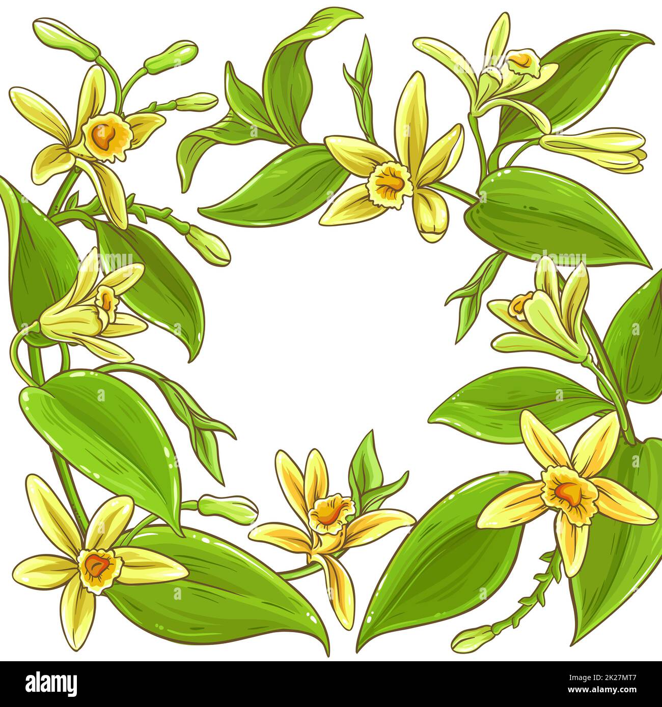 vanilla vector frame Stock Photo - Alamy