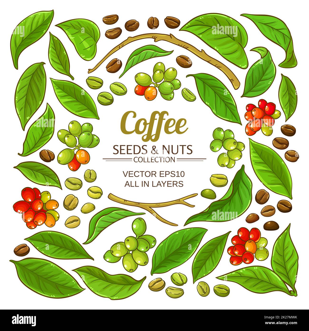 coffee elements vector set Stock Photo - Alamy