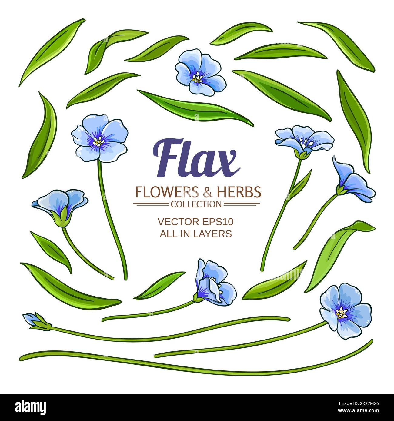 flax plant elements vector set Stock Photo - Alamy