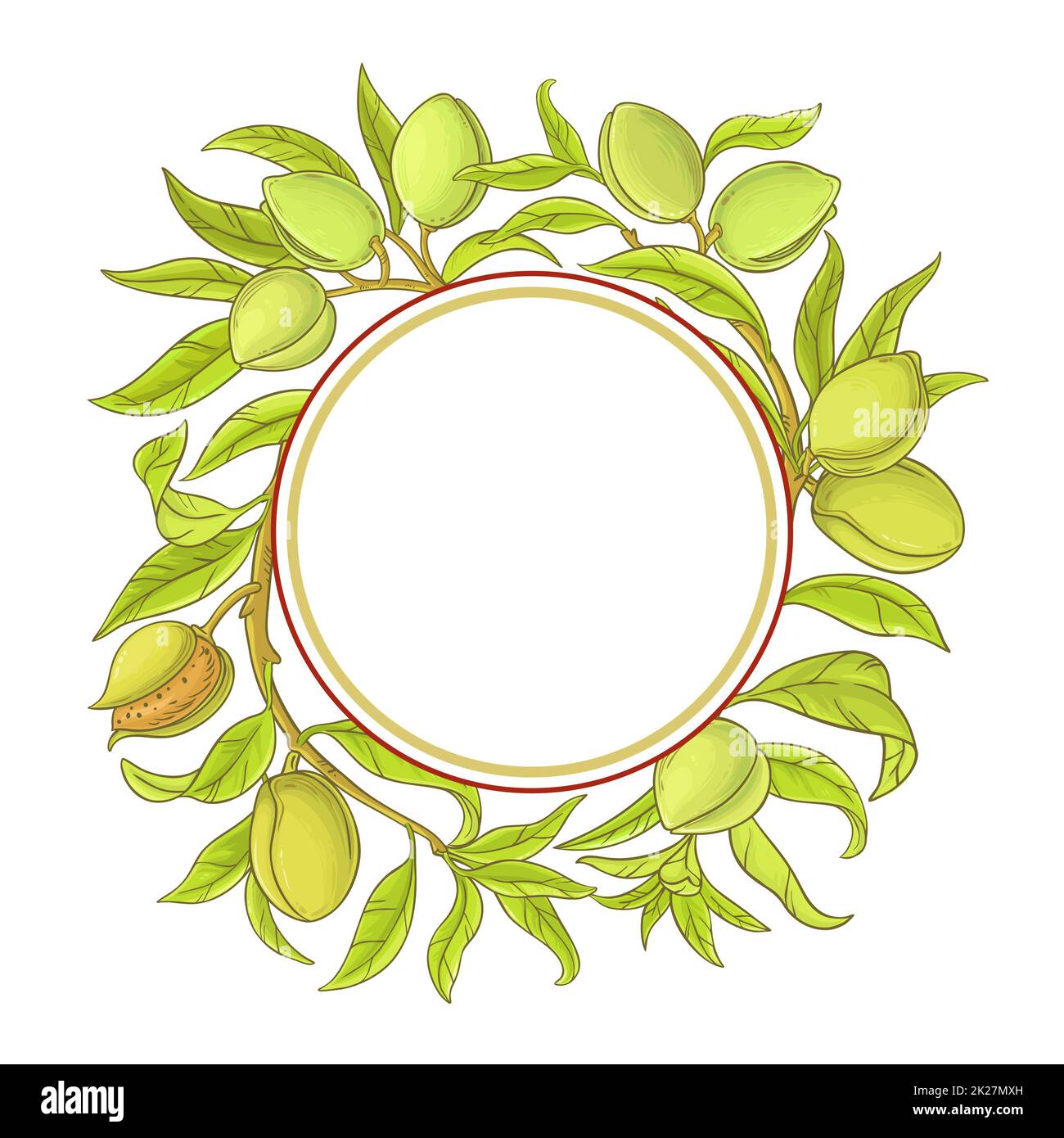 almond vector frame Stock Photo - Alamy