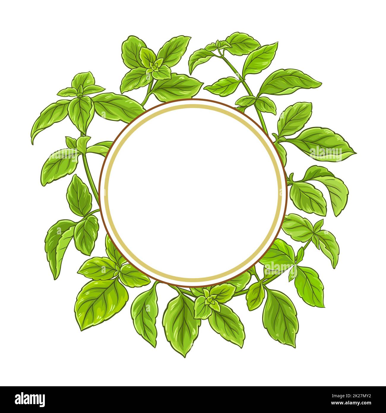 basil plant vector frame Stock Photo - Alamy