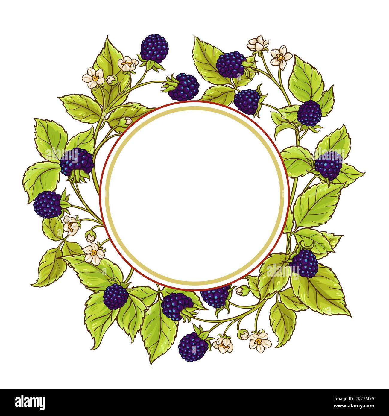 blackberry vector frame Stock Photo - Alamy