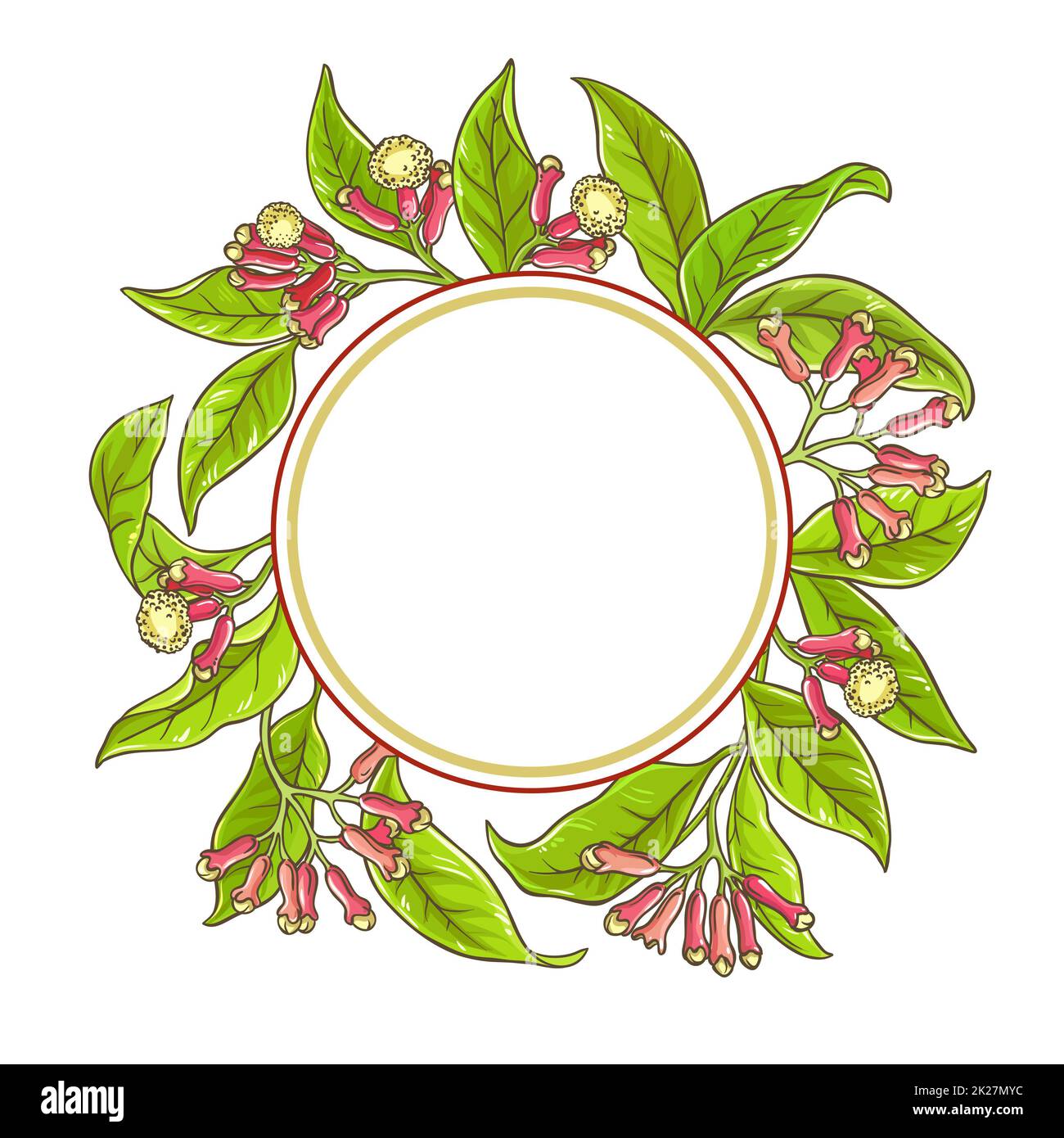 clove branch vector frame Stock Photo - Alamy