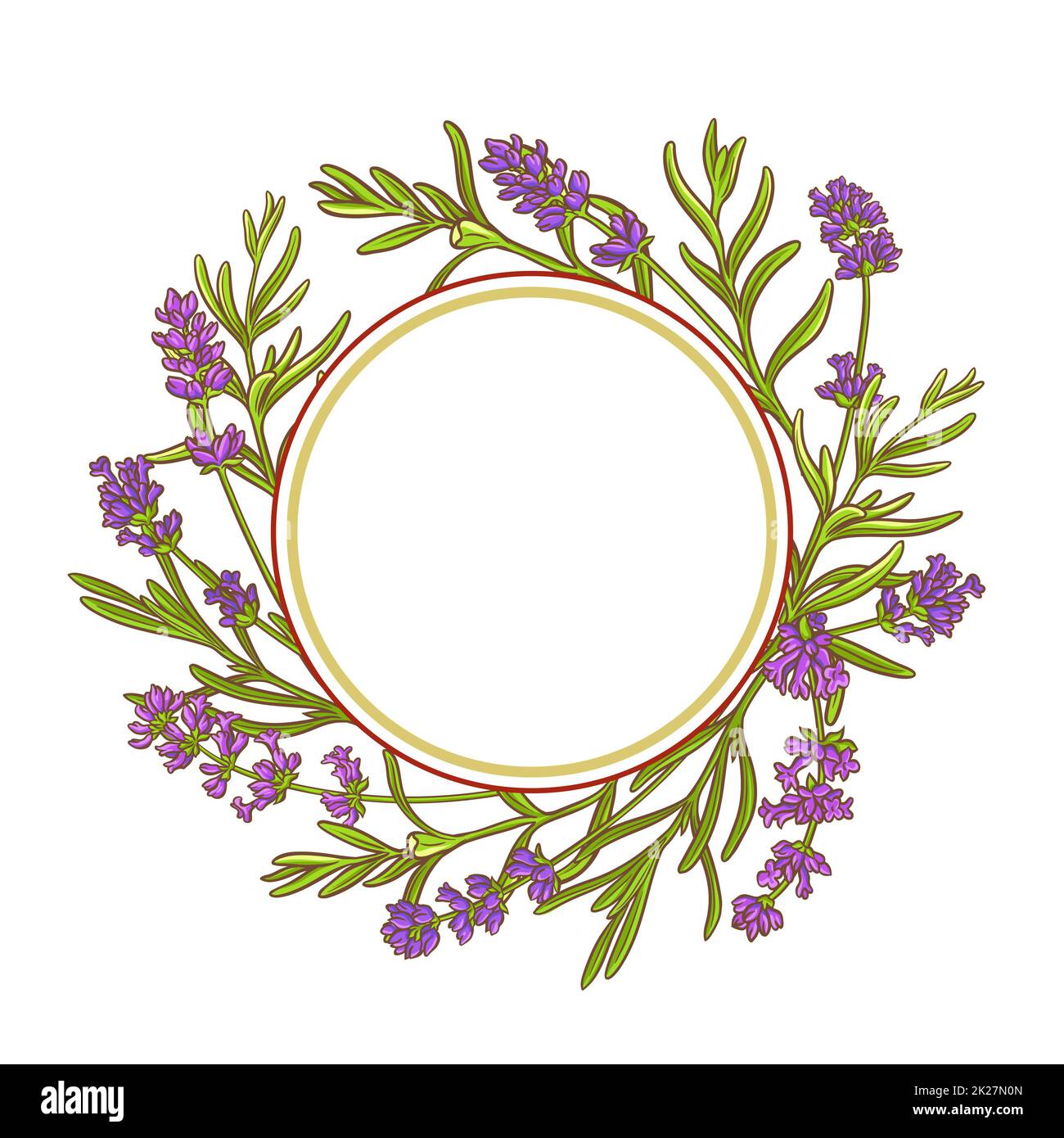 lavender plant vector frame Stock Photo - Alamy