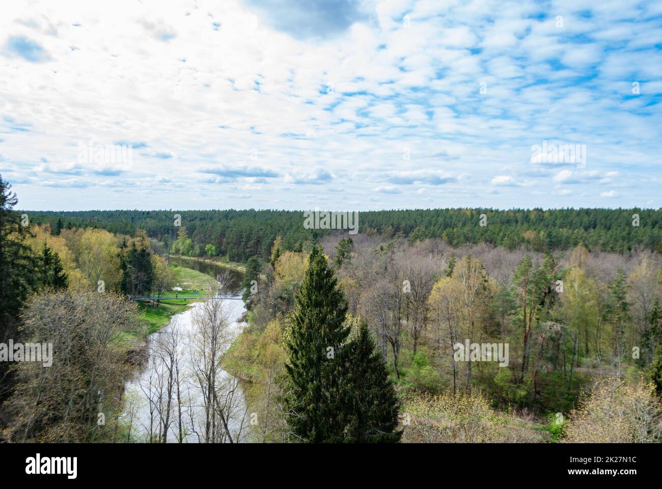 Top view of the forest and river in early spring Stock Photo - Alamy