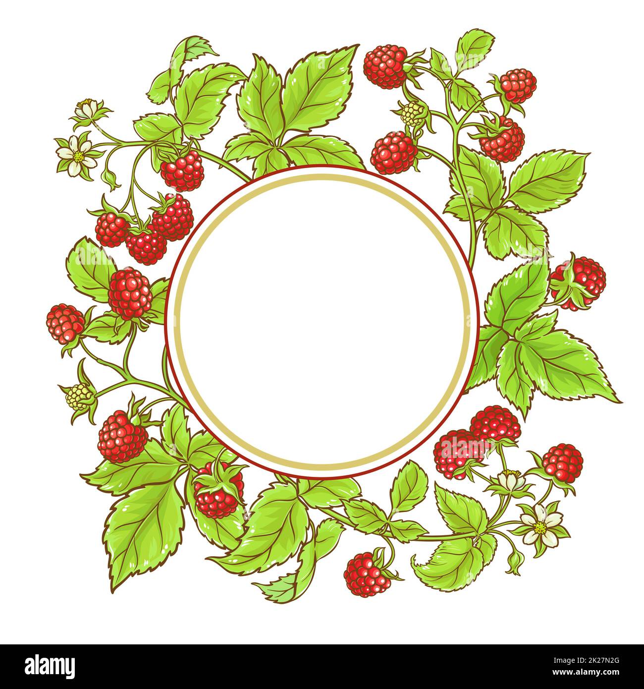 raspberry branch vector frame Stock Photo - Alamy