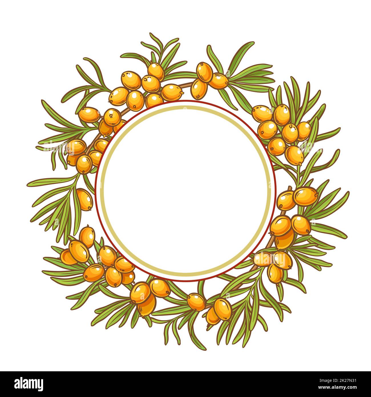 Orange sea buckthorn tea Cut Out Stock Images & Pictures - Alamy