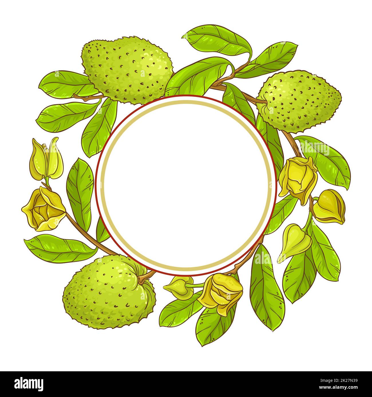 soursop vector frame Stock Photo - Alamy