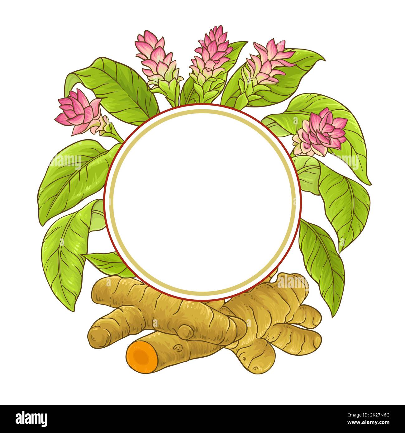 turmeric plant vector frame Stock Photo - Alamy