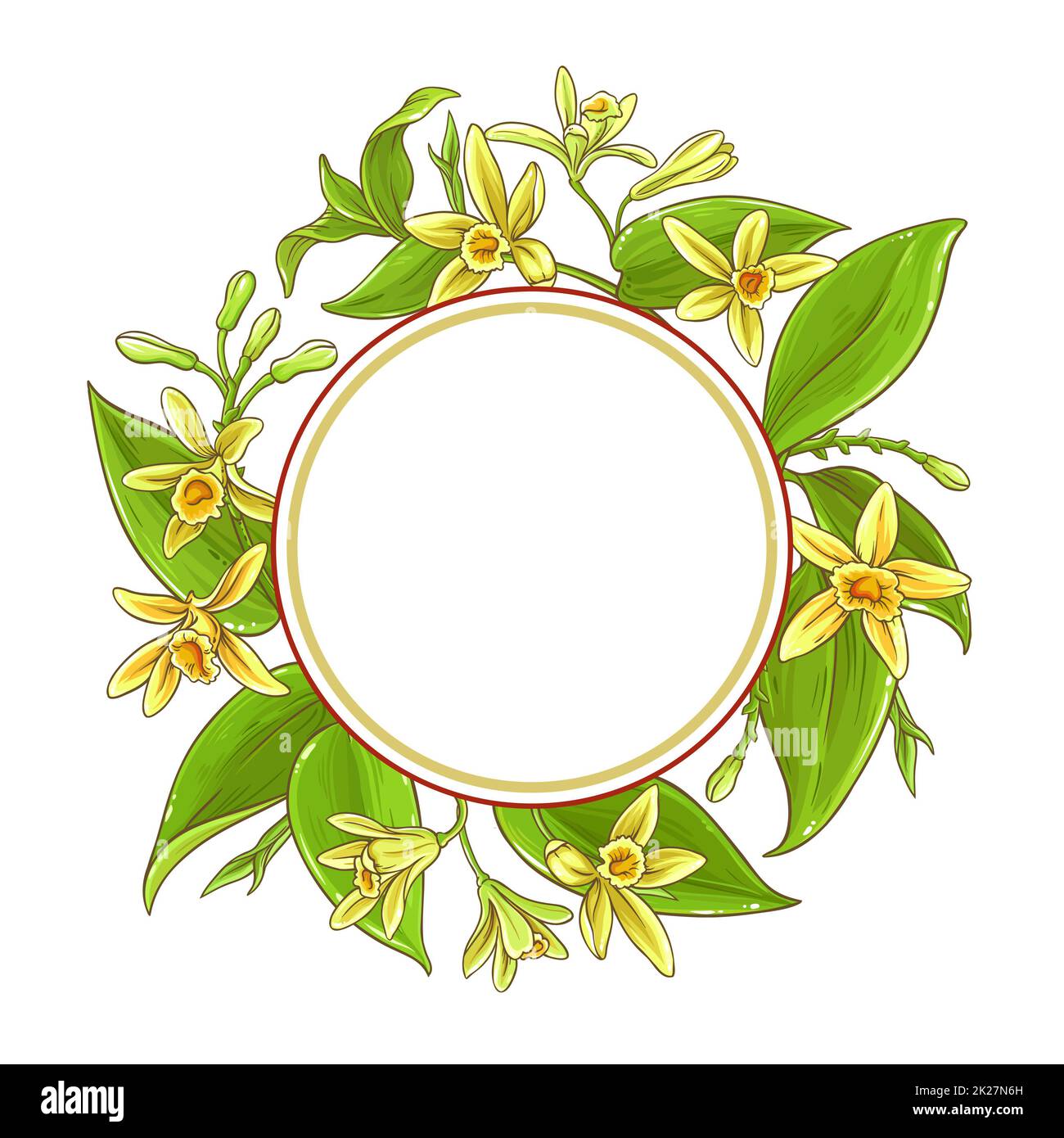 Vanilla flower nature Cut Out Stock Images & Pictures - Alamy