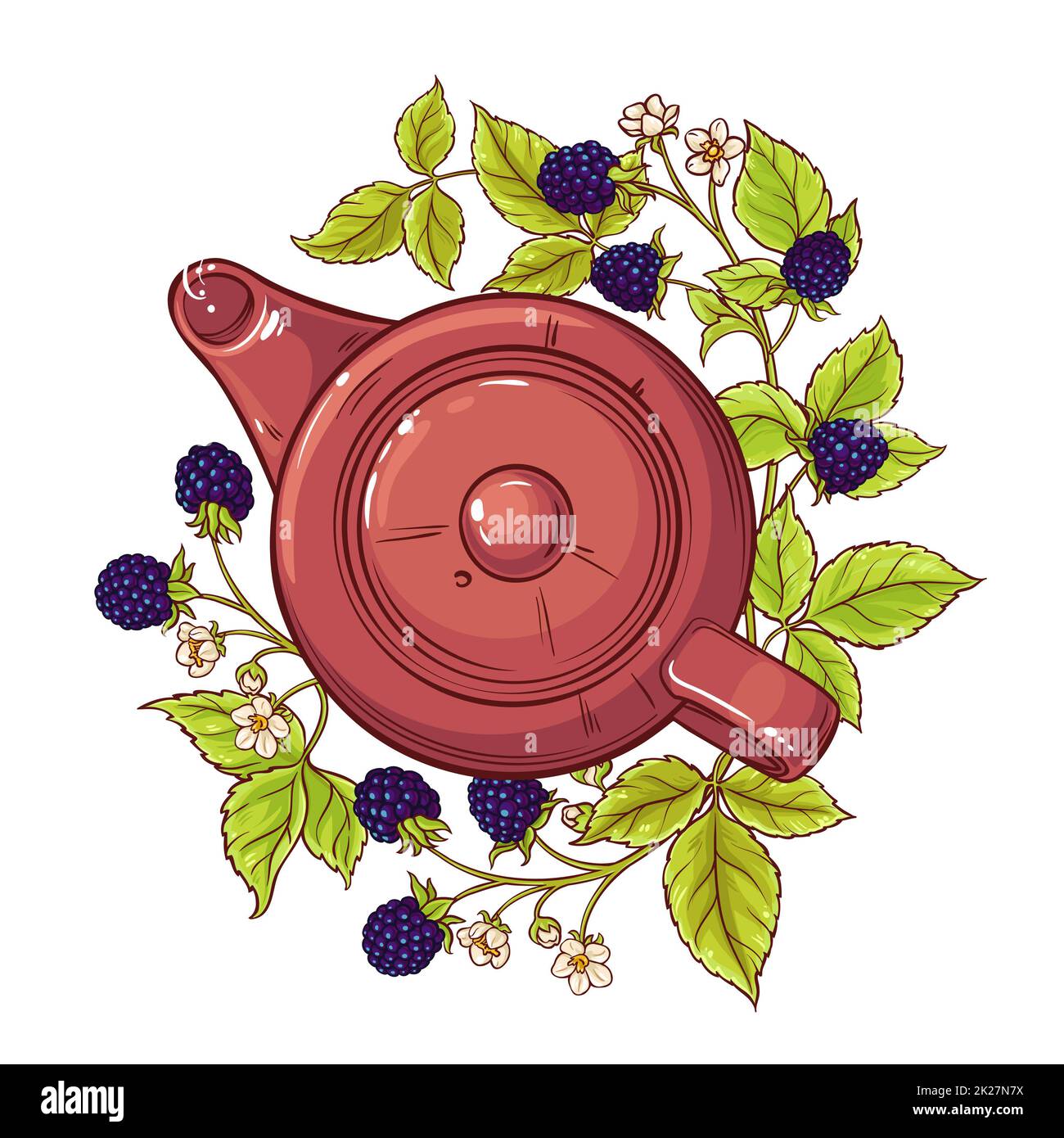 blackberry tea illustration Stock Photo - Alamy