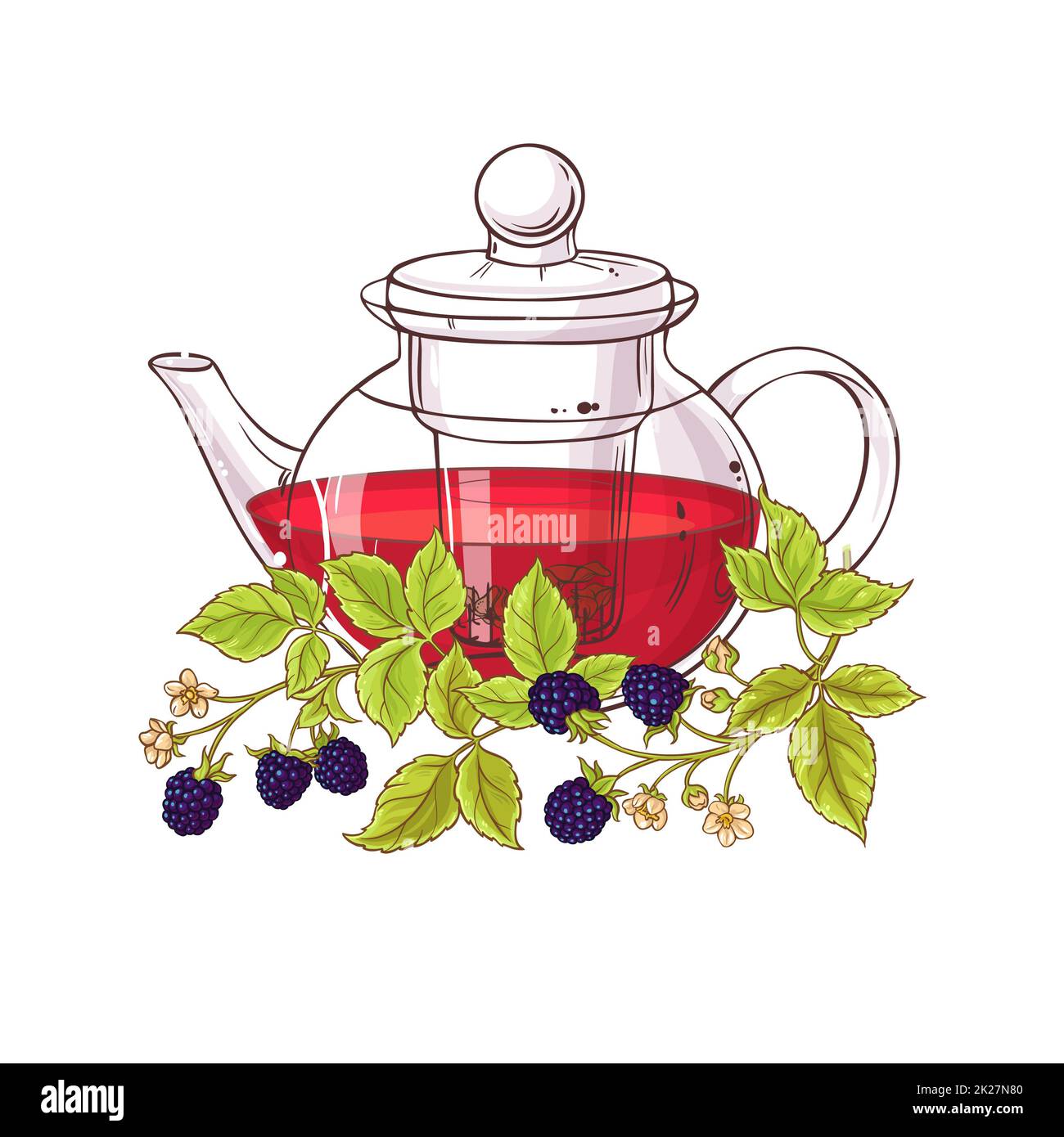 blackberry tea illustration Stock Photo - Alamy