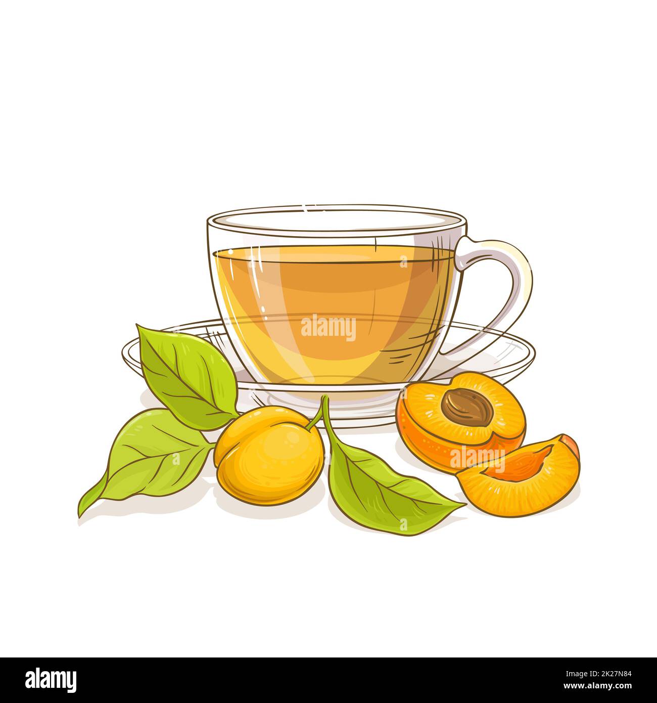 apricot tea illustration Stock Photo - Alamy