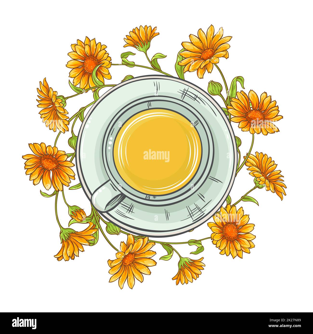 Marigold calendula illustration plant Cut Out Stock Images & Pictures ...