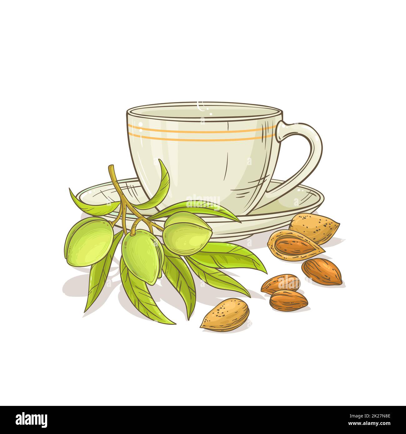 Almond flower illustration Cut Out Stock Images & Pictures - Alamy