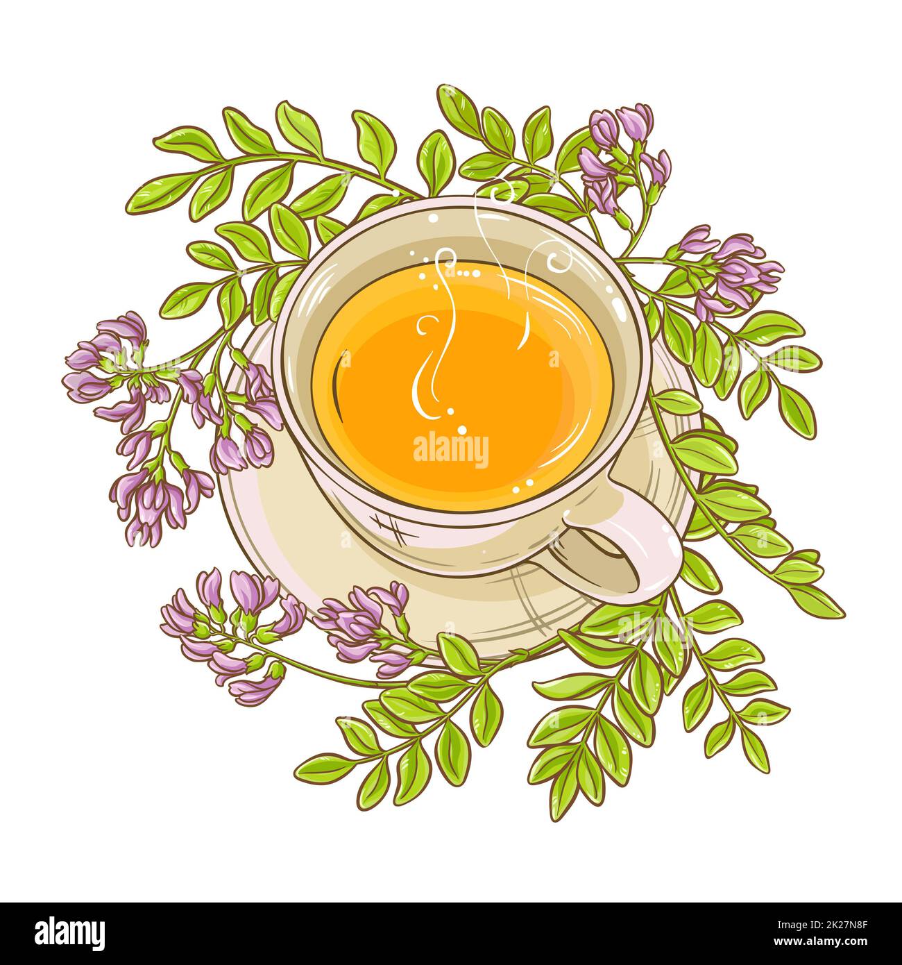 Brachylobus hi-res stock photography and images - Alamy