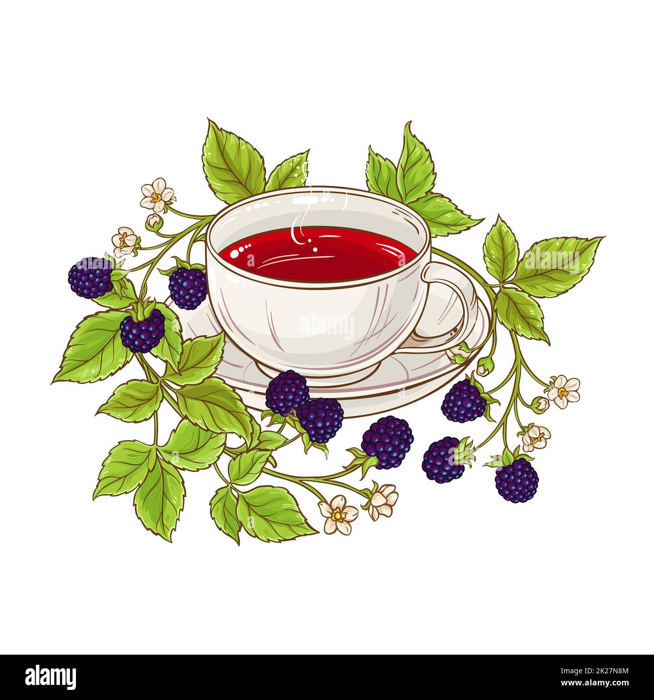 blackberry tea illustration Stock Photo - Alamy