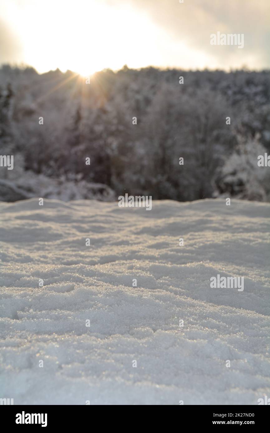 Deep snow with sunrise behind the blurred trees Stock Photo - Alamy