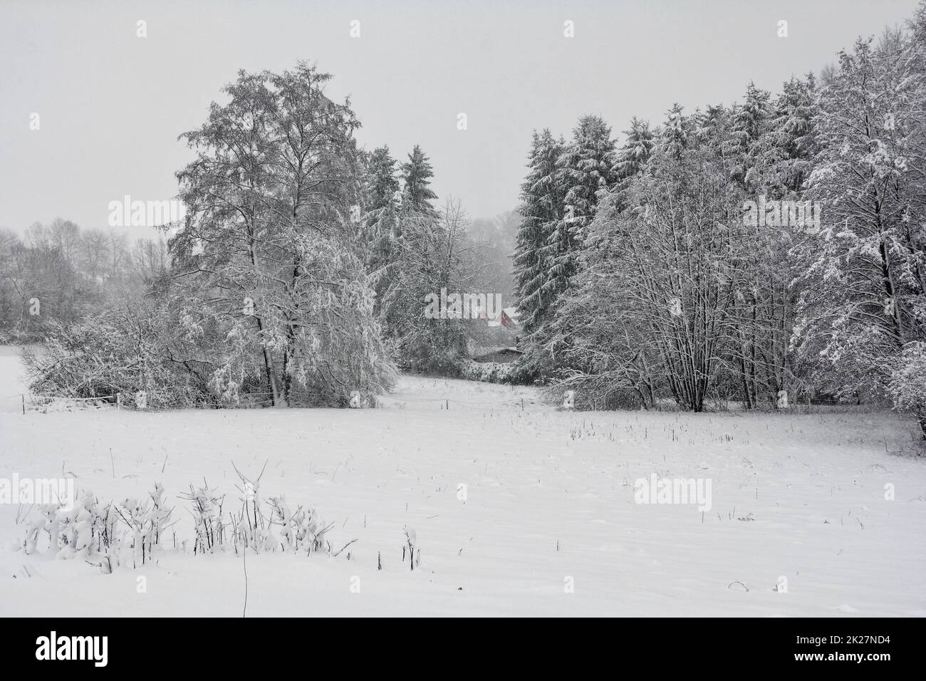 Winter landscape with a lot of snow hidden houses Stock Photo - Alamy