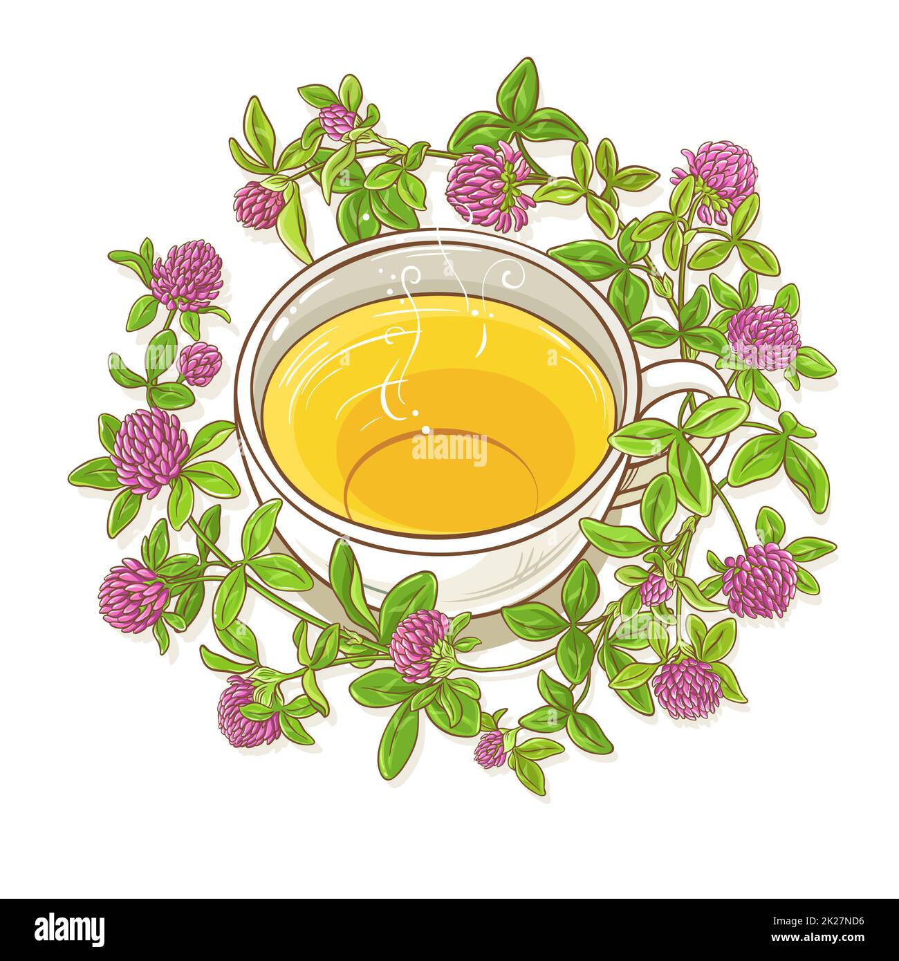 Medicinal plant white clover Cut Out Stock Images & Pictures - Alamy