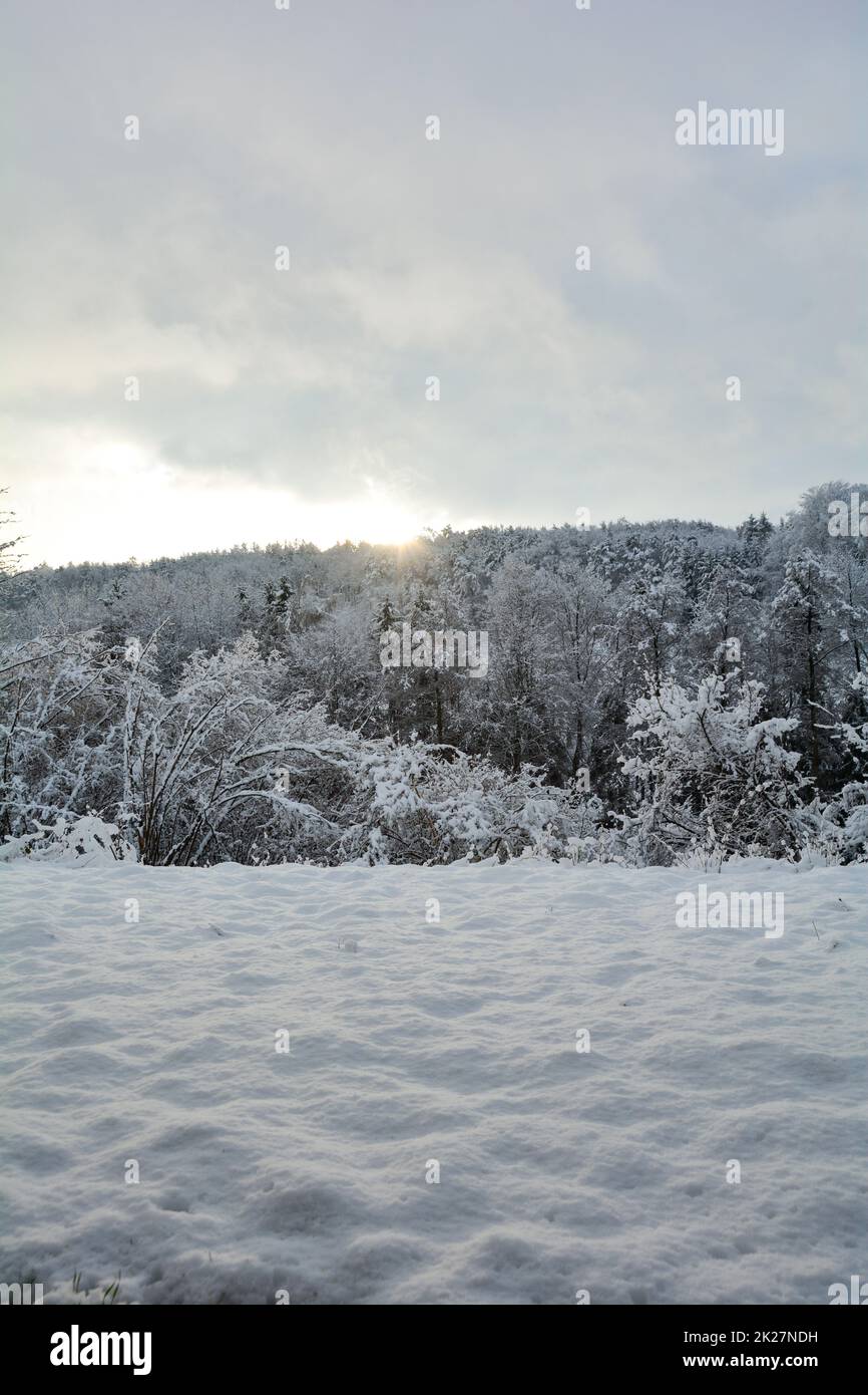 Sun over forest hi-res stock photography and images - Alamy