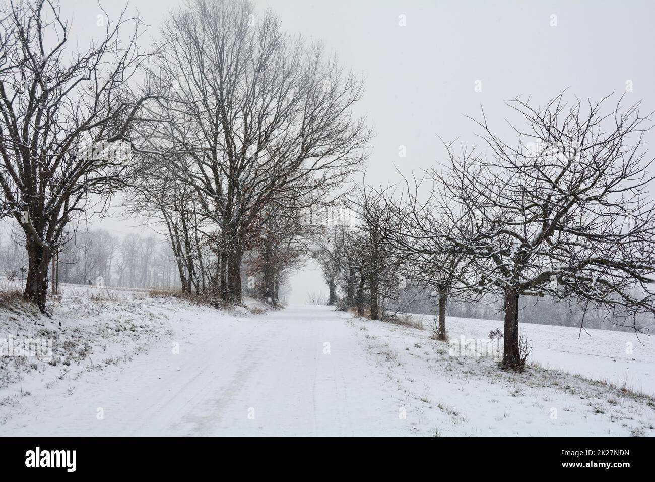 Heavy snowfall area hi-res stock photography and images - Alamy
