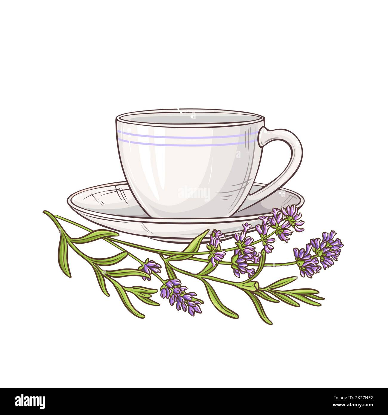 Cup healthy lavender tea hi-res stock photography and images - Alamy