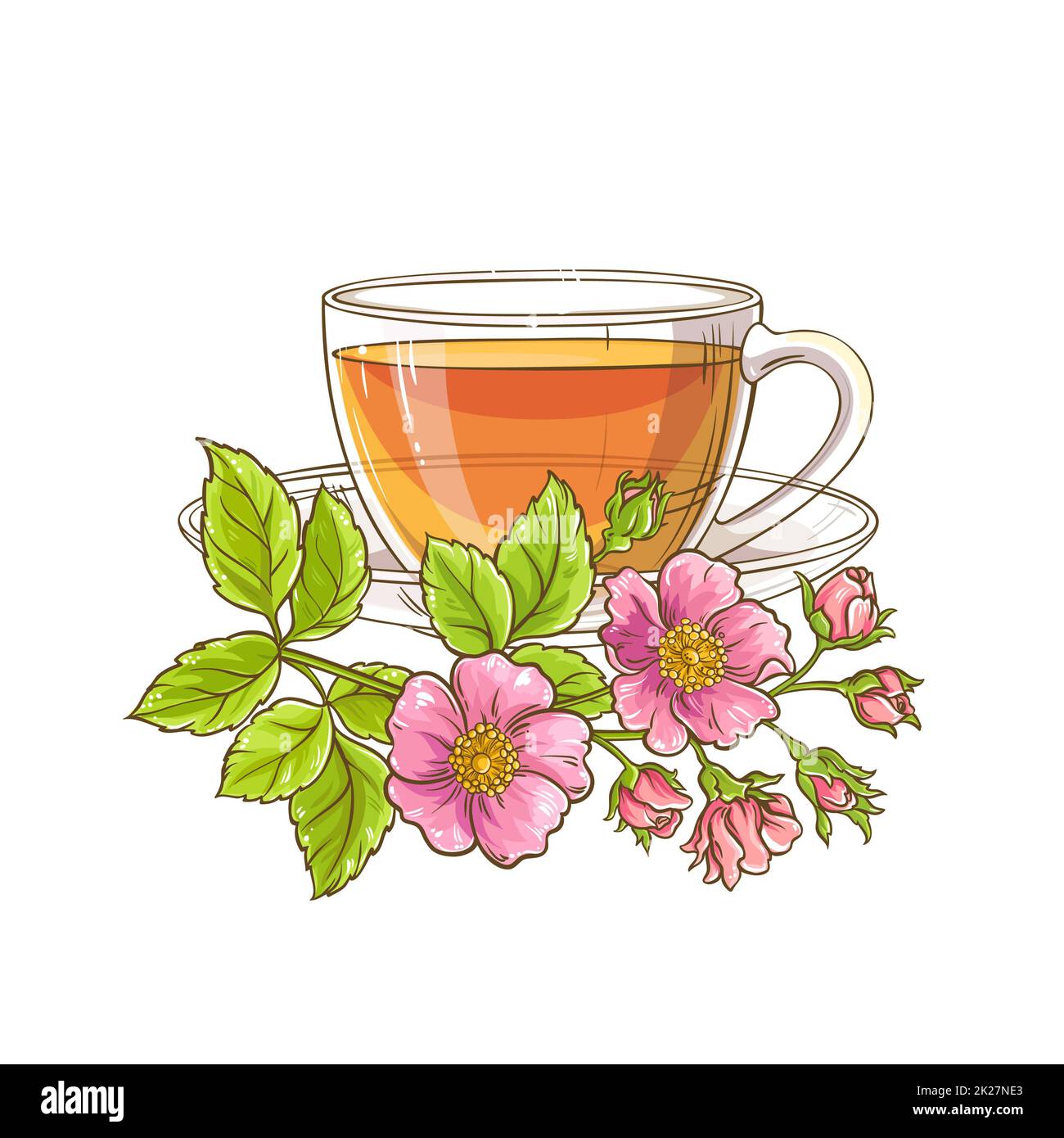 dog rose tea illustration Stock Photo - Alamy