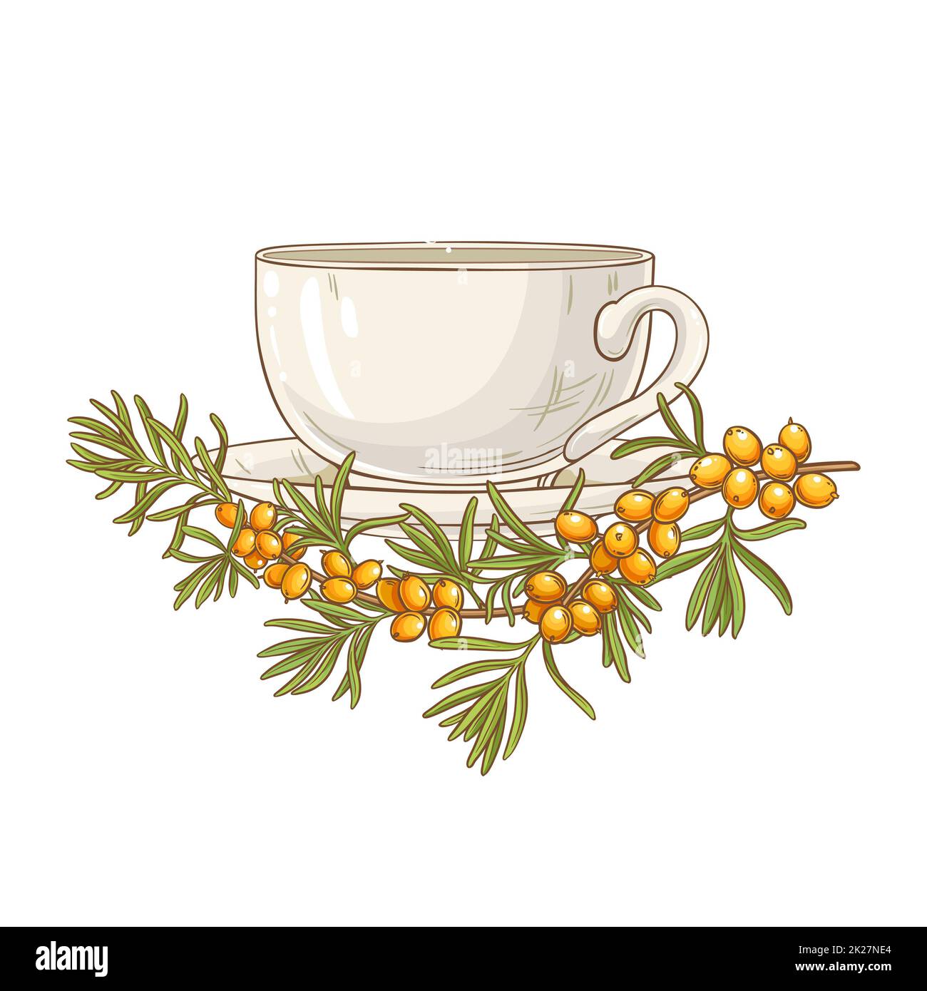 Orange sea buckthorn tea Cut Out Stock Images & Pictures - Alamy