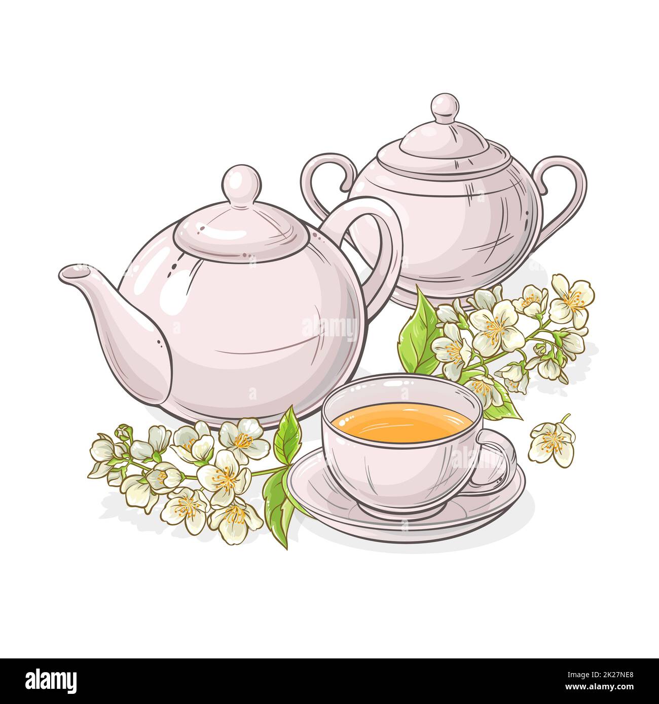 Jasmine illustration hi-res stock photography and images - Alamy