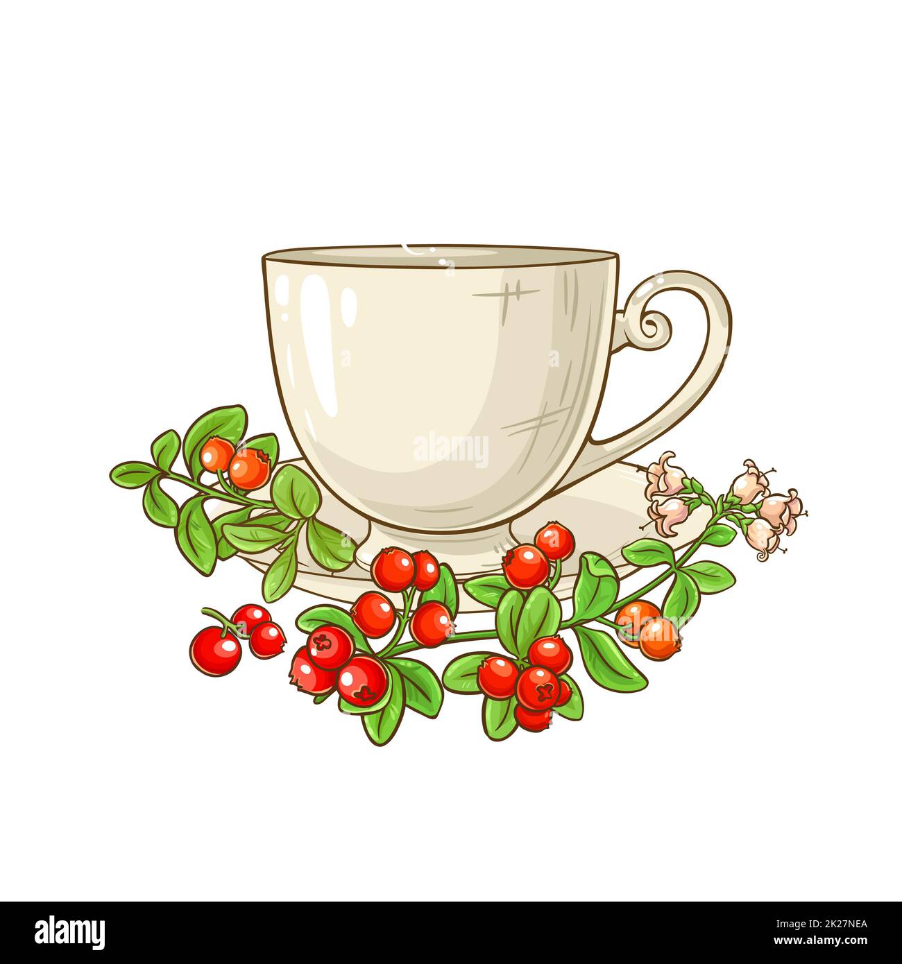 cranberry tea illustration Stock Photo - Alamy