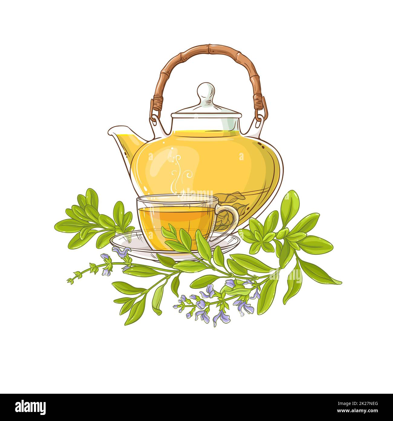 sage tea illustration Stock Photo - Alamy