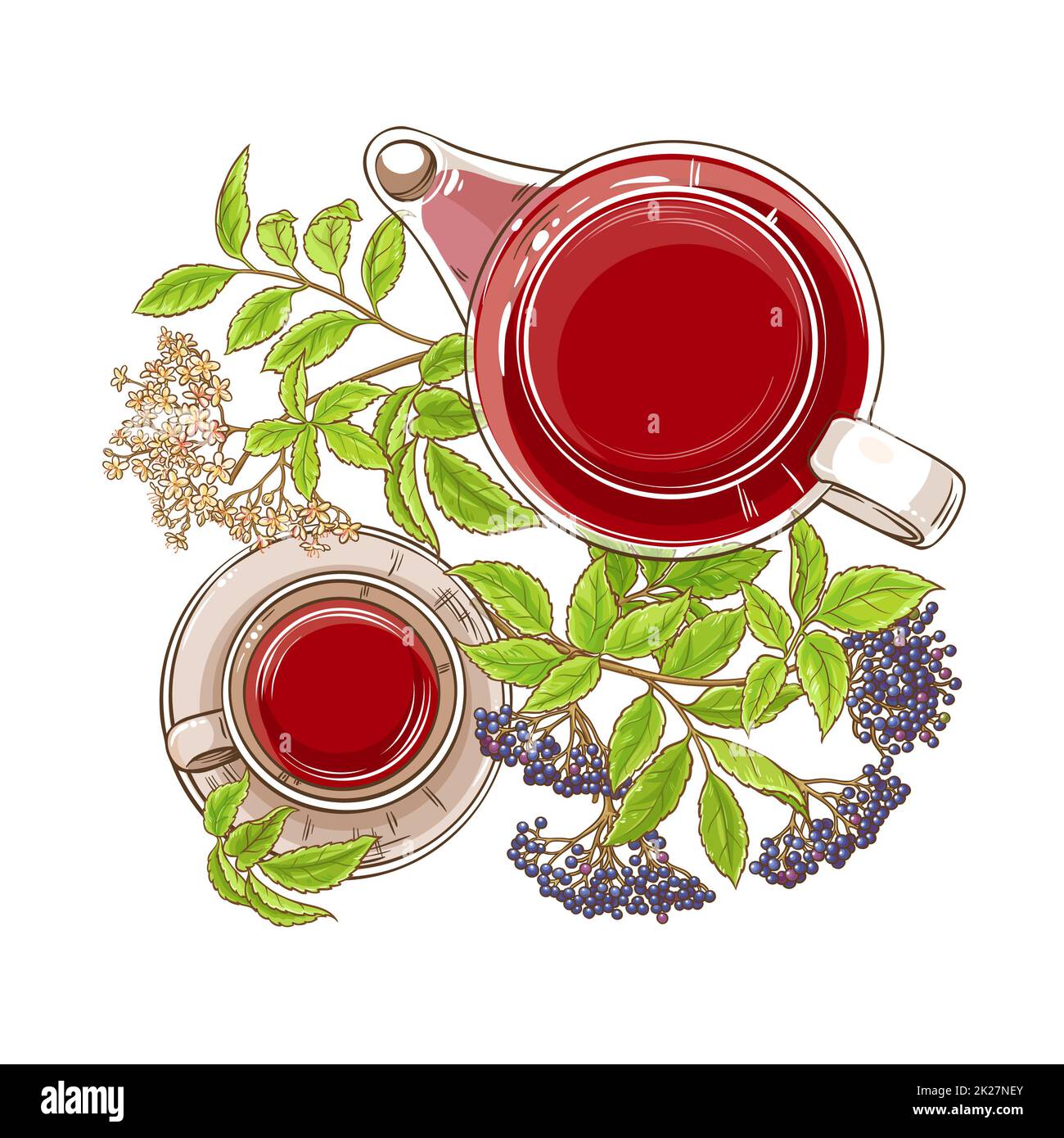 elderberry tea illustration Stock Photo - Alamy