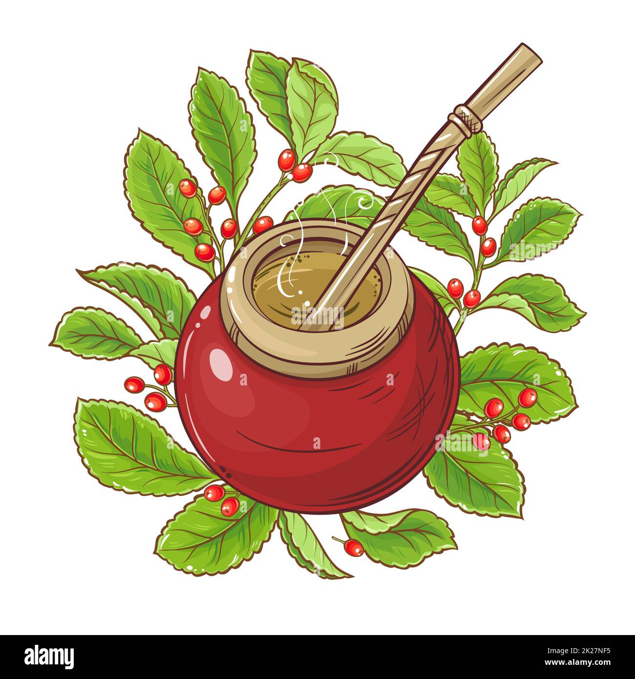 mate tea vector illustration Stock Photo - Alamy