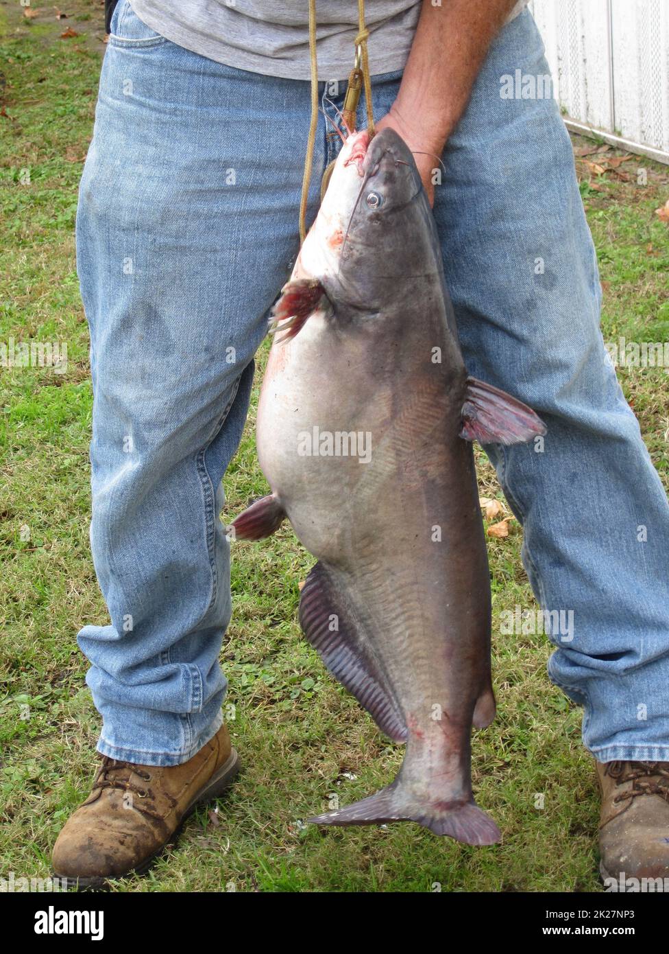 East texas farming hi-res stock photography and images - Alamy