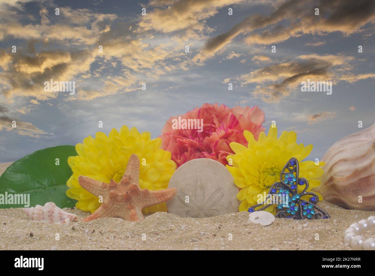 Flowers and Sea Shells on Sand With Sunset Stock Photo - Alamy