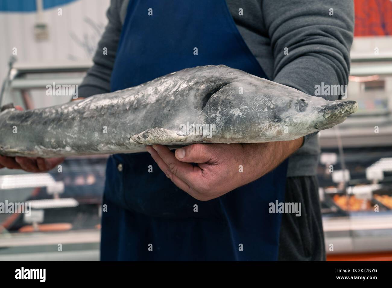 Male fishmonger or fish market worker Stock Photo - Alamy
