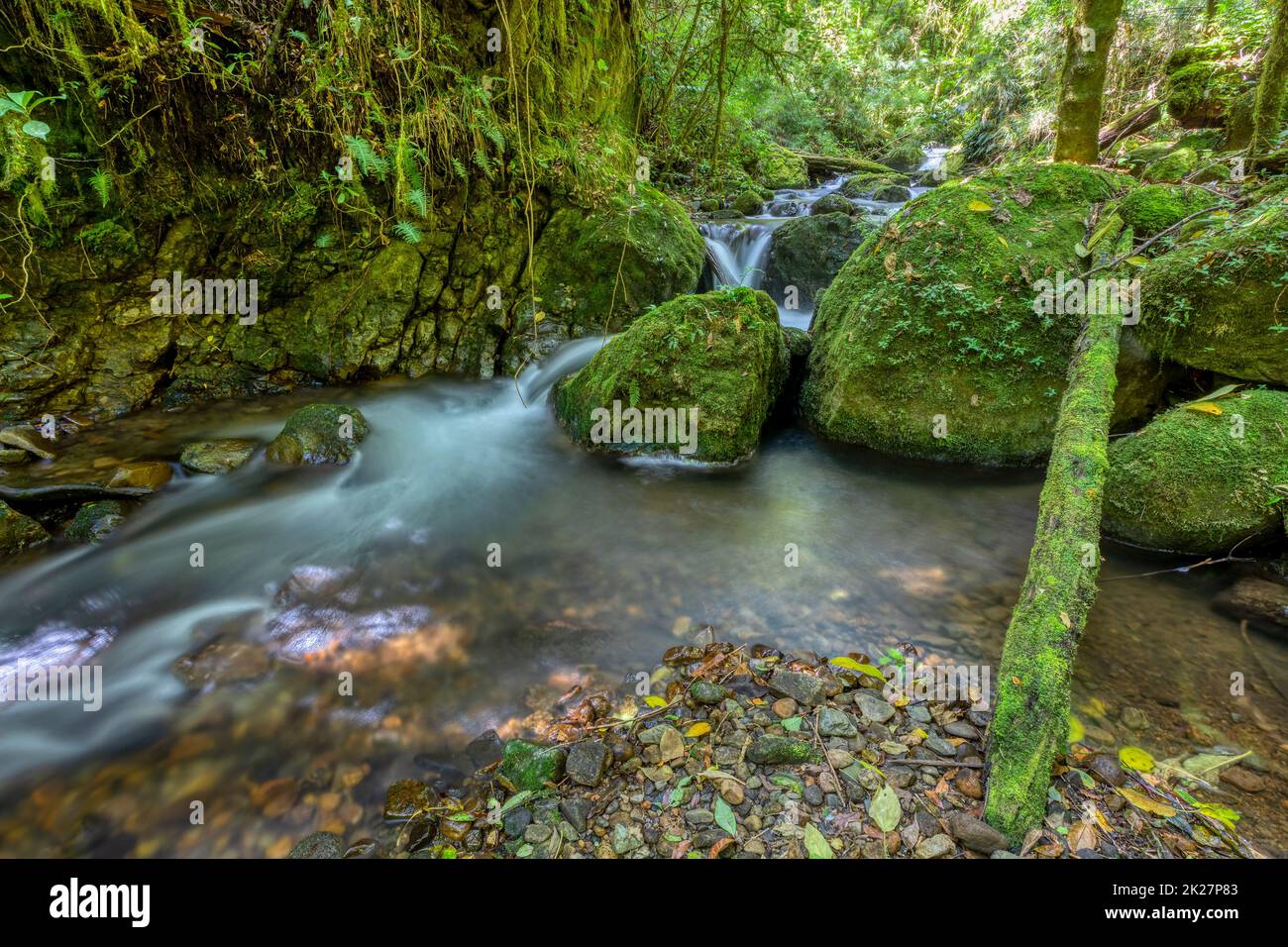 wild mountain river Rio Savegre. San Gerardo de Dota, Costa Rica Stock ...