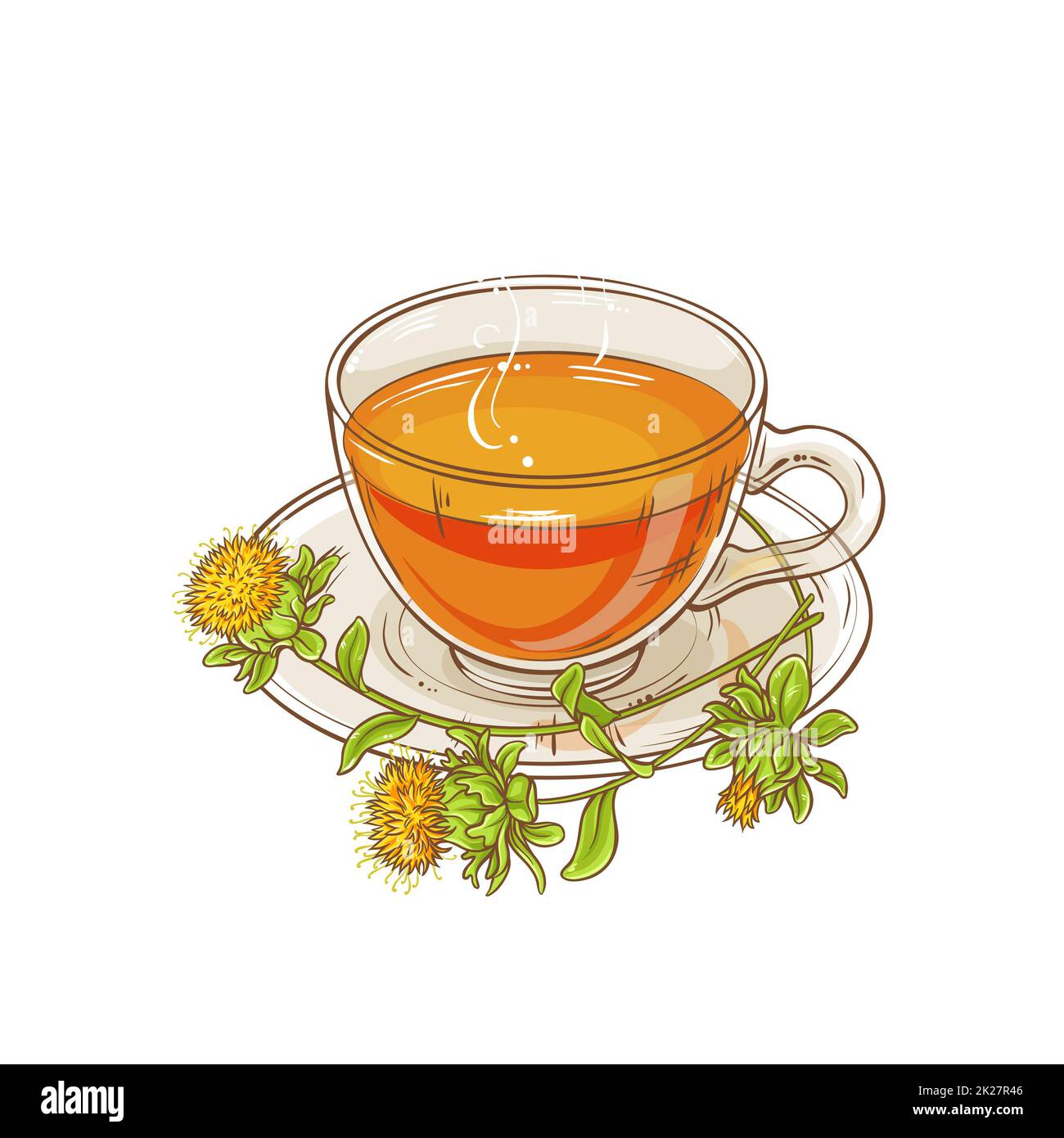 safflower tea illustration Stock Photo - Alamy