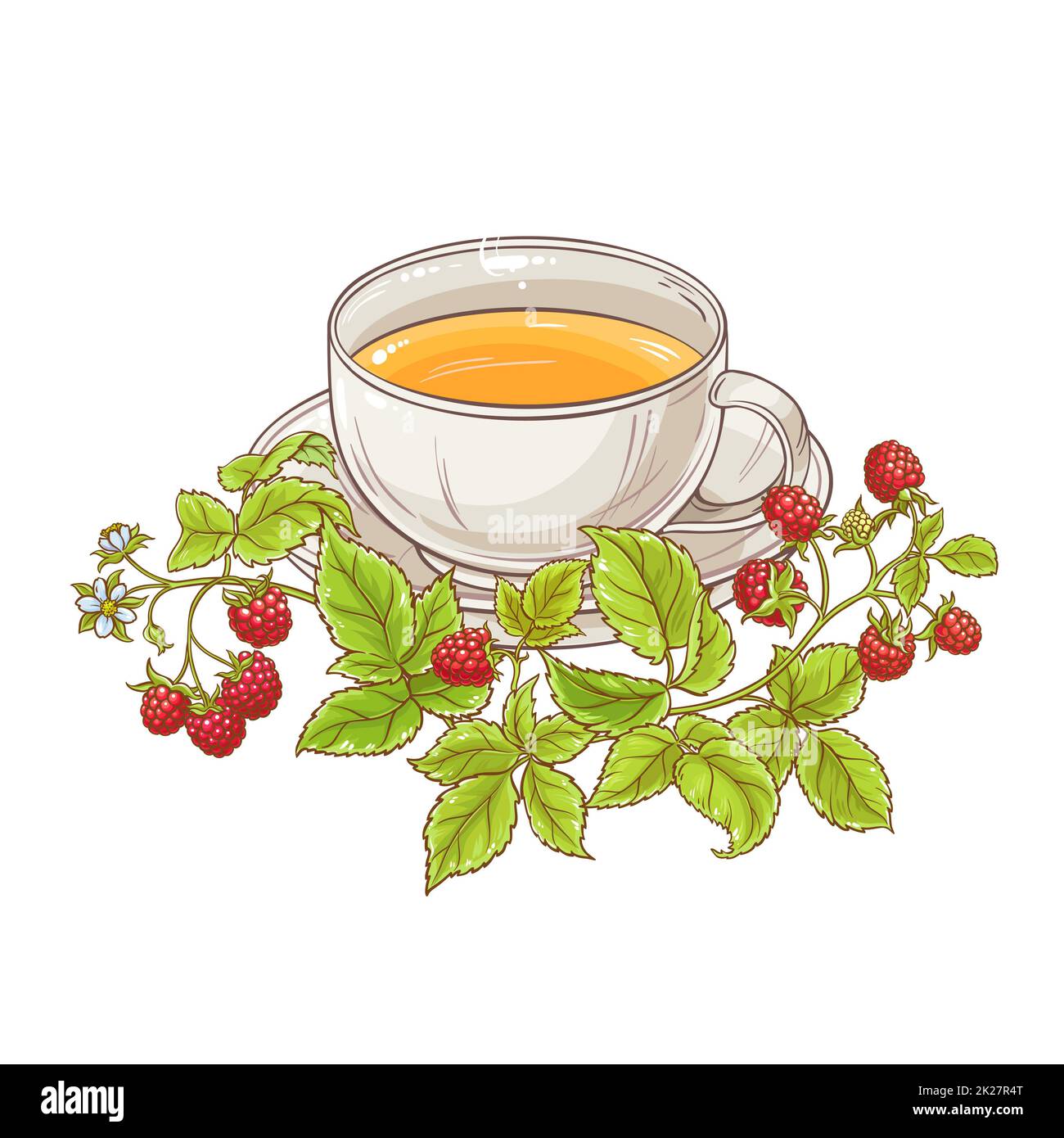 raspberry tea illustration Stock Photo - Alamy