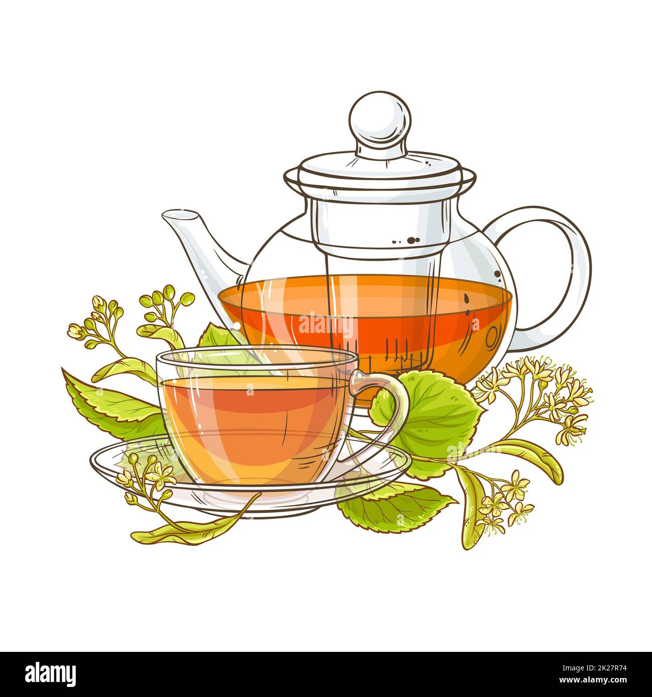 Tea tree branch illustration Cut Out Stock Images & Pictures - Alamy