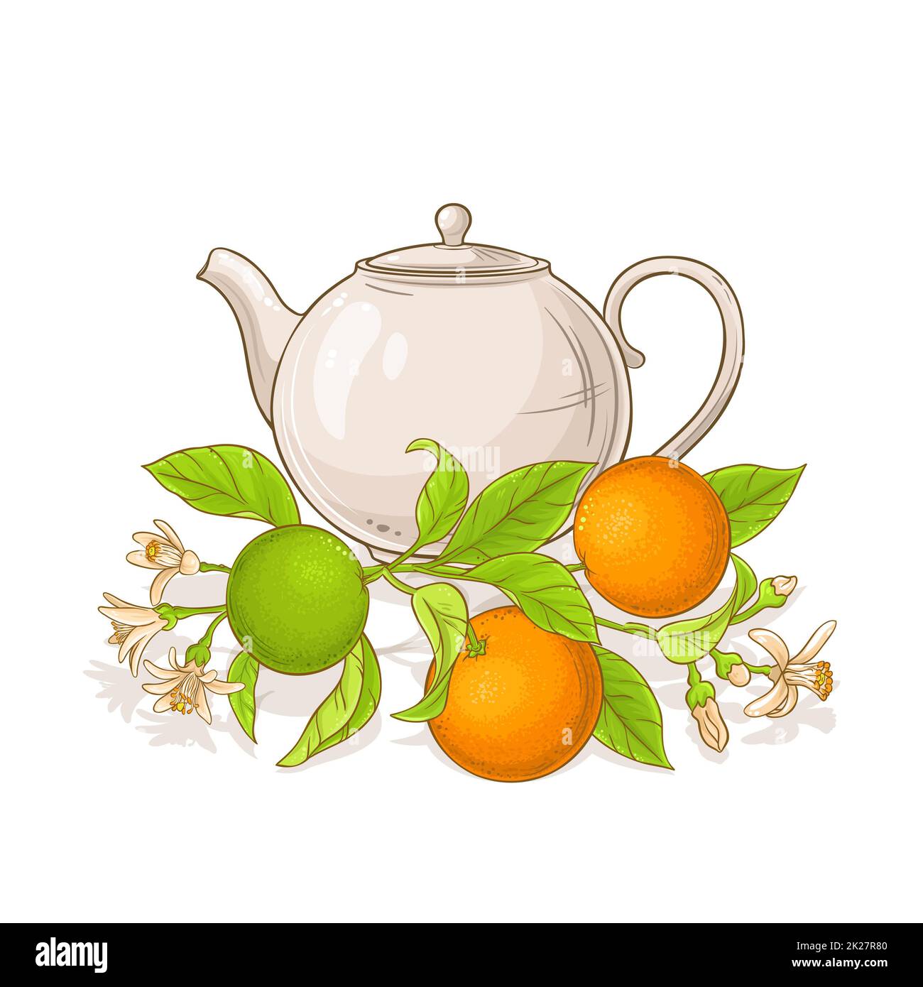 Ripe orange fruit hanging Cut Out Stock Images & Pictures - Alamy