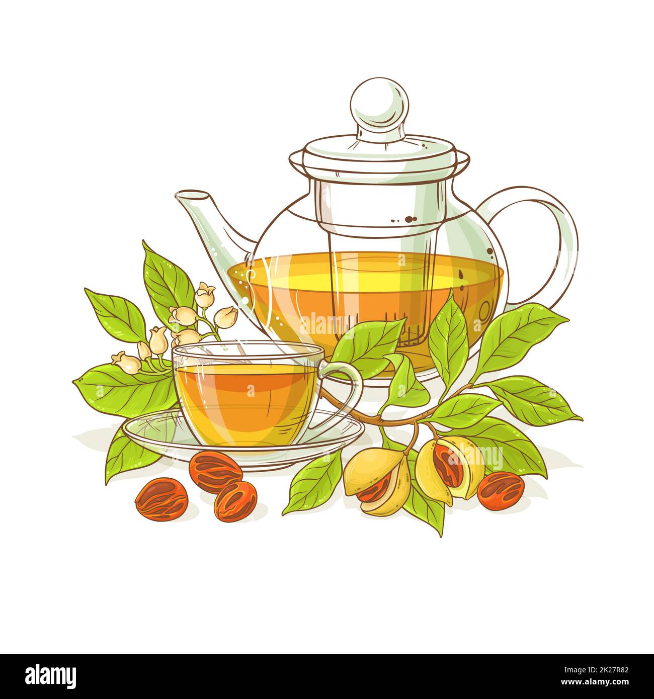 Nutmeg plant illustration Cut Out Stock Images & Pictures - Alamy